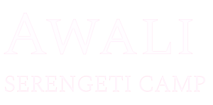 Awali Serengeti Camp – Luxury Accommodation in Serengeti